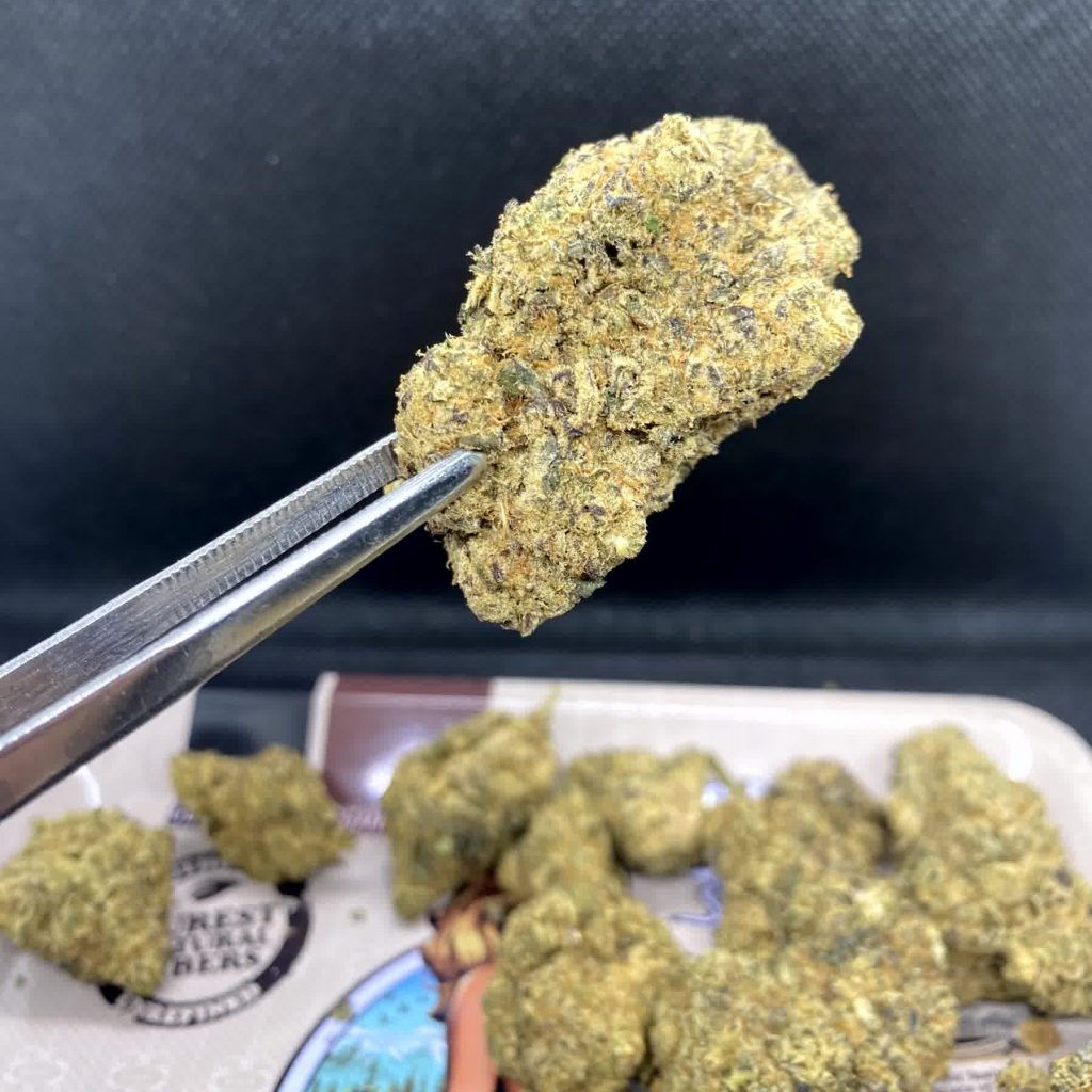Gelato #33 - Buy in Thailand | Bangkok, Phuket