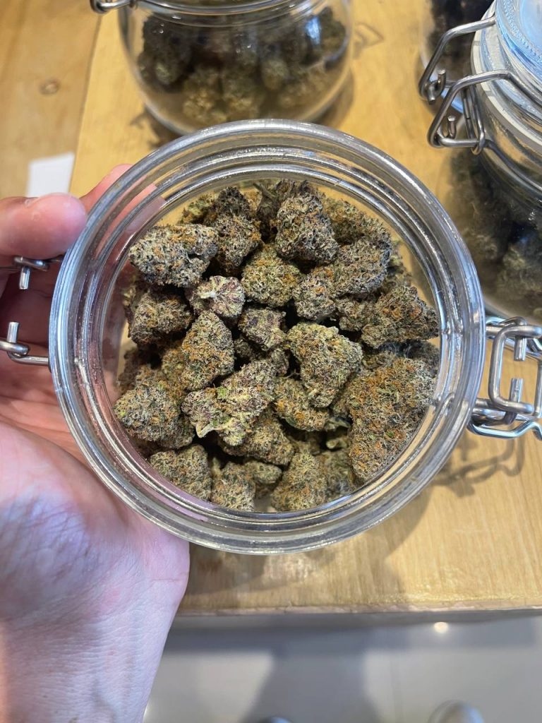 Buy Biscotti | Cali Indica strain in Phuket | Hi-Fly Delivery