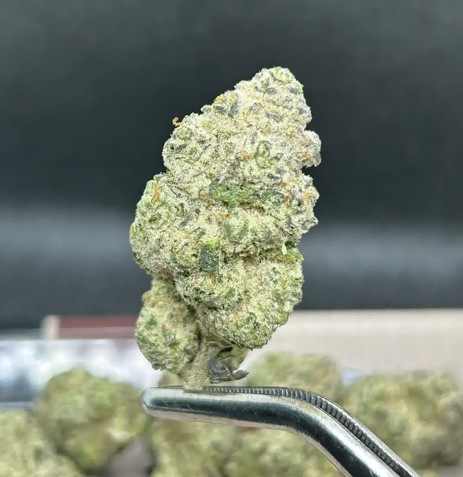 STRAWBERRY COOKIES OG R1 - Buy in Thailand | Bangkok, Phuket