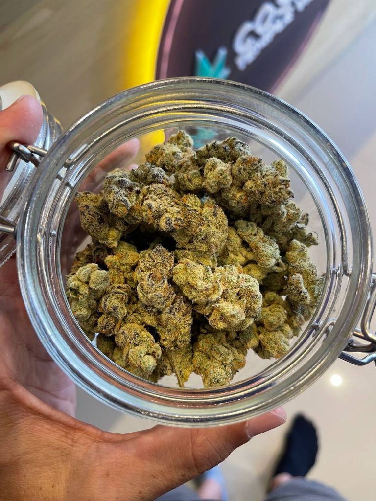 Grape Stank in Phuket