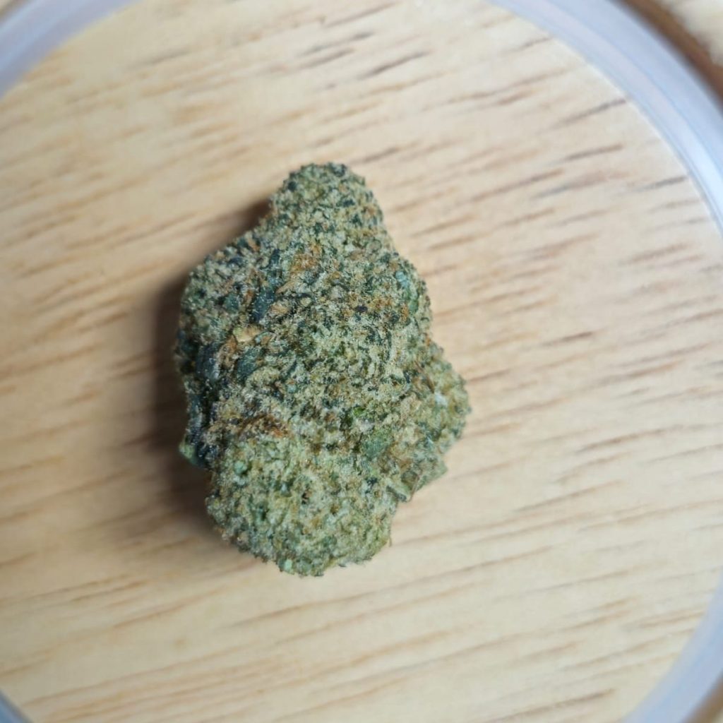 Alien Mintz - Buy in Thailand | Bangkok, Phuket