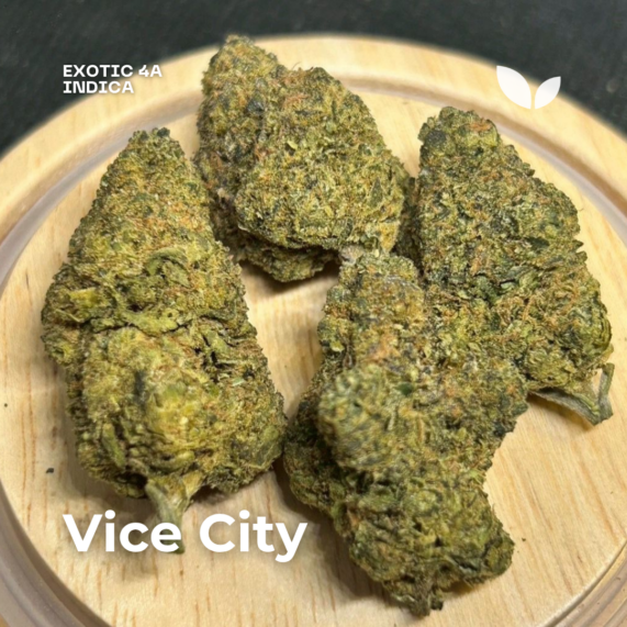 Vice City | Calming and Relaxing Strain in Phuket