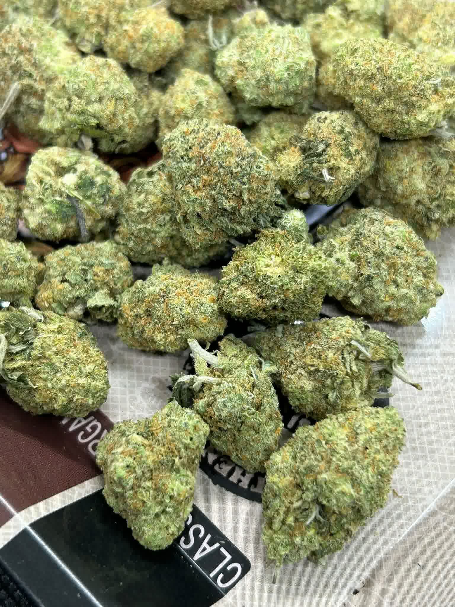 Buy Pluto Indica Hybrid Cannabis in Phuket