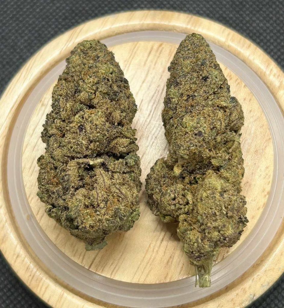 Tropicana Cherry Strain Buy in Phuket