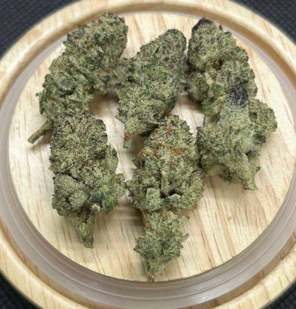 Halle Berry Strain Buy in Phuket