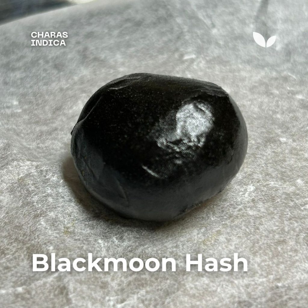 Charas Blackmoon Hash 10 Grams in Phuket