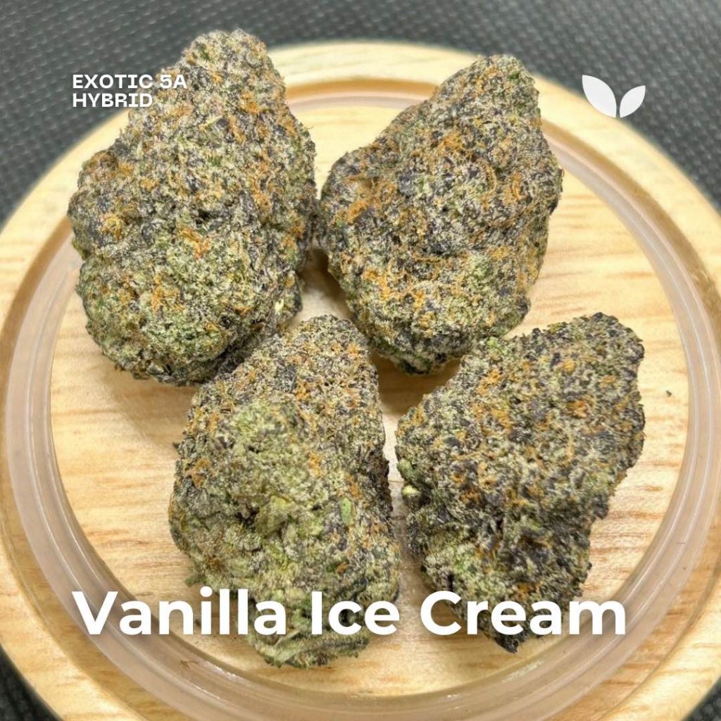 3.5 Grams (1/8 oz) Vanilla Ice Cream in Phuket