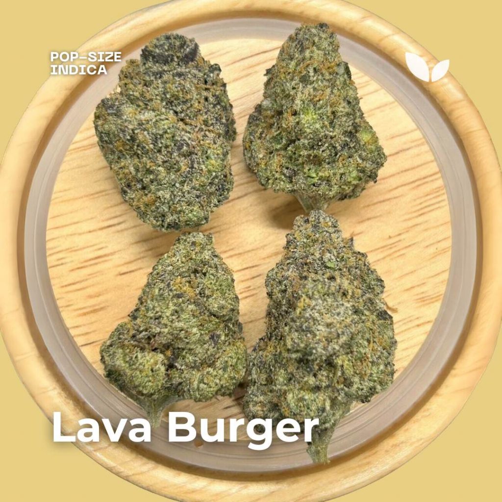 Lava Burger Indica Pop-Size in Phuket