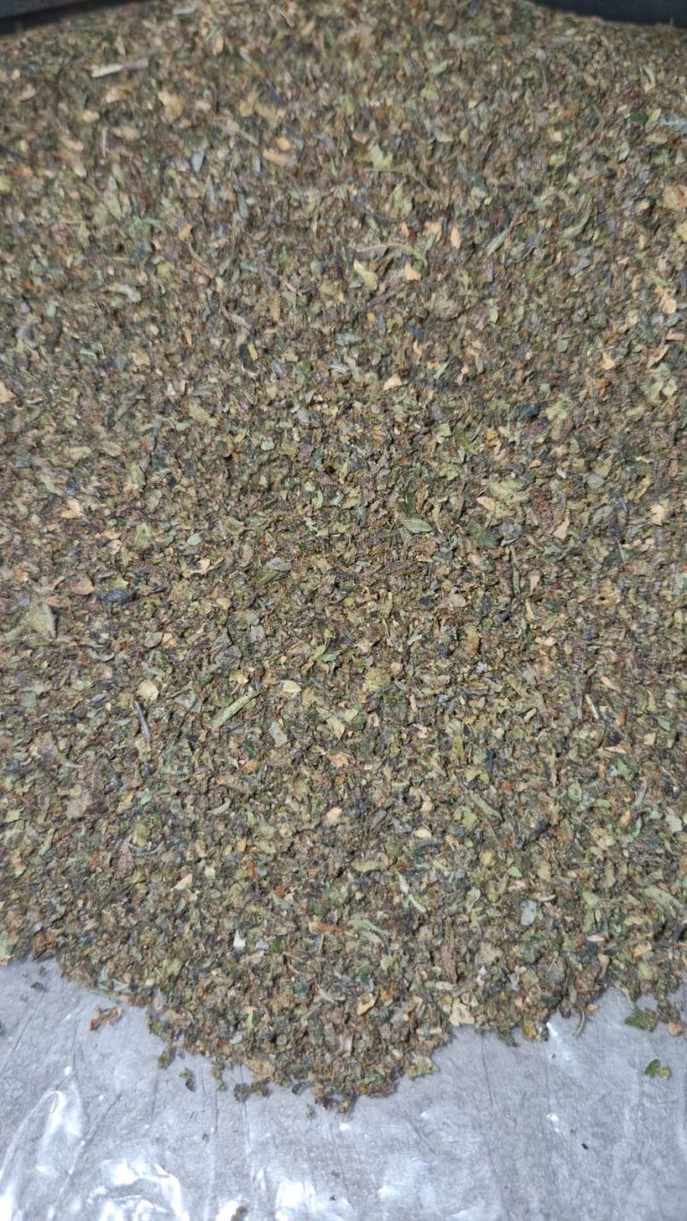 Trim Runtz X Rayer Cake, 100g in Phuket