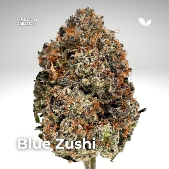 Blue Zushi | Balanced Effects, 34% THC Strain | Buy in Phuket