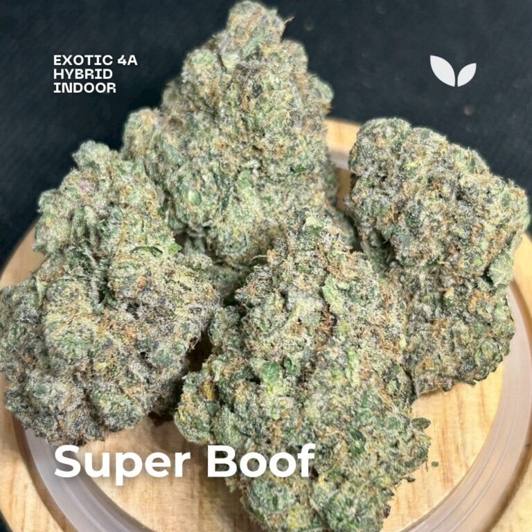 Super Boof | Strain of the Year 2024 in Phuket